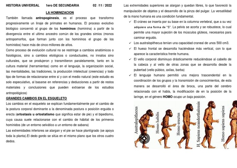 Historia Universal 1 Sec. La Hominizacion | PDF | Evolución humana