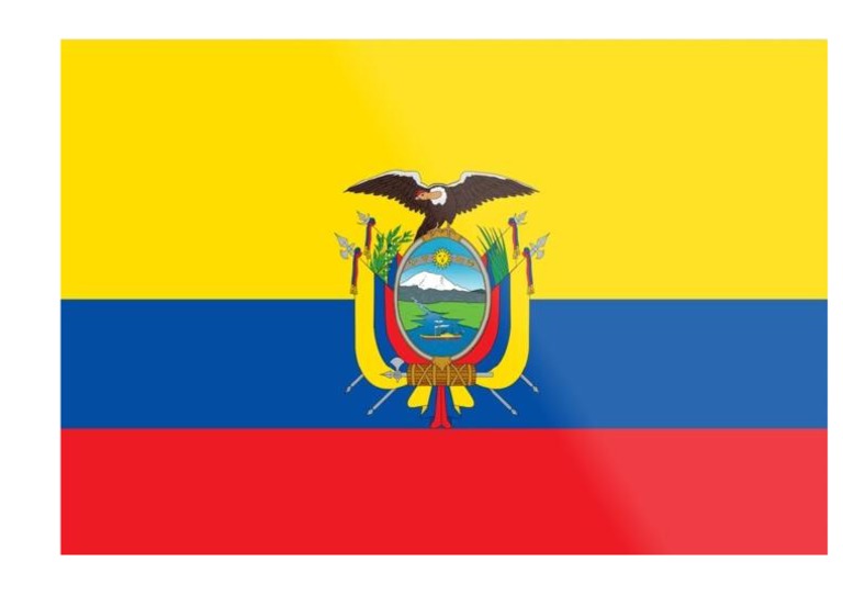 Bandera para Imprimir | PDF