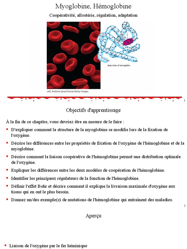 DMAC22 Hémoglobine | PDF