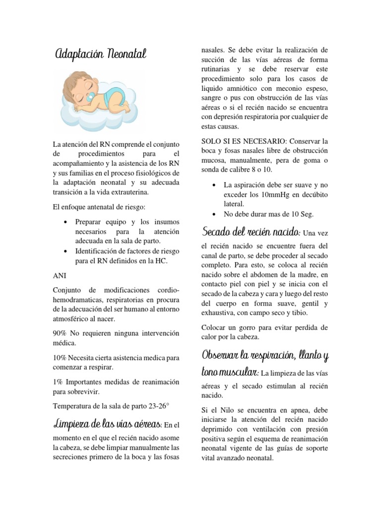 Adaptación Neonatal | PDF | Infantes | Parto
