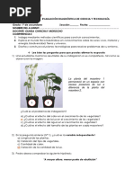 Evaluación Diagnostica Del Área de Ciencia y Tecnología Del 2do Grado ...