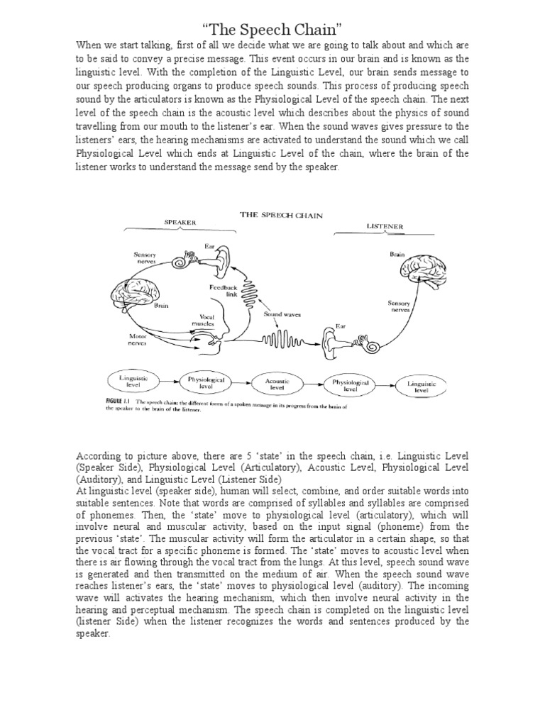 The Speech Chain | PDF