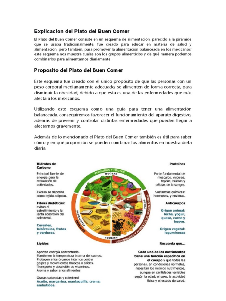 Explicacion Del Plato Del Buen Comer | PDF | Alimentos | Cereales