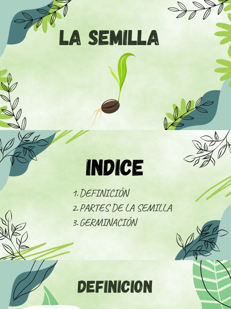 La Semilla | PDF | Ciencia y matemáticas