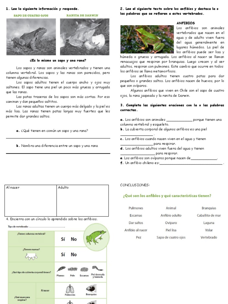 Guia Anfibios | PDF | Estudios de idiomas extranjeros | Ciencia y ...