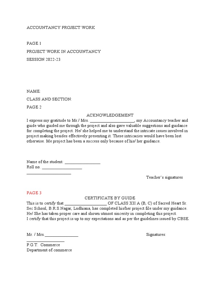 Accountancy Project Work | PDF