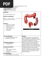 Técnicas Quirúrgicas de Hartmann | PDF | Intestino grueso | Cirugía