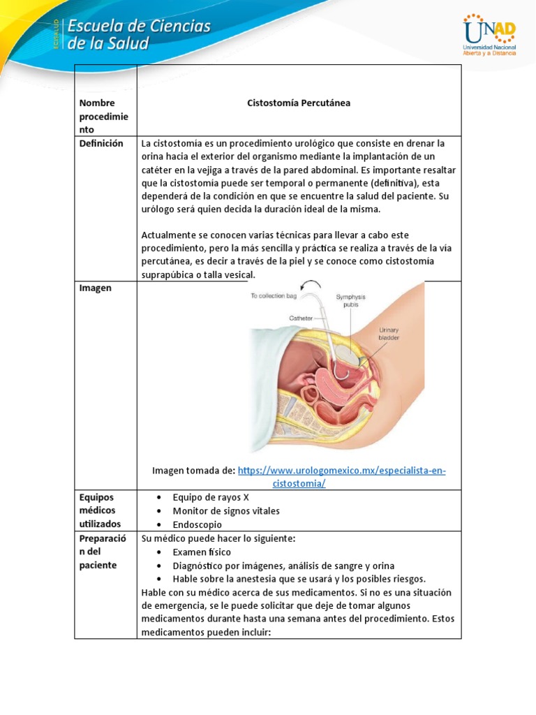 Cistotomia Percutanea | PDF | Vejiga urinaria | Especialidades Medicas