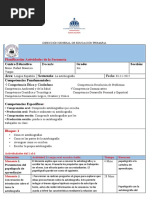 Planificación Diaria 3er Grado | PDF | Evaluación | Aprendizaje