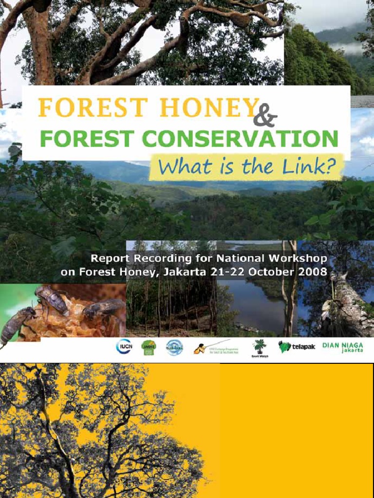 Proceeding Workshop Forest Honey - English | PDF | Honey Bee ...