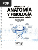 Anatomia de La Rata Externa e Interna Tacher | PDF | Riñón | Abdomen
