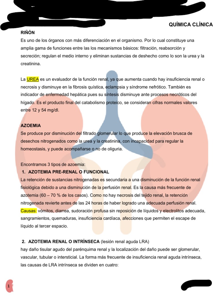 Azoemia | PDF | Órgano (anatomía) | Especialidades Medicas