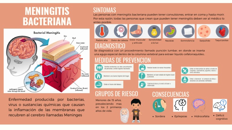 Meningitis Bacteriana | PDF