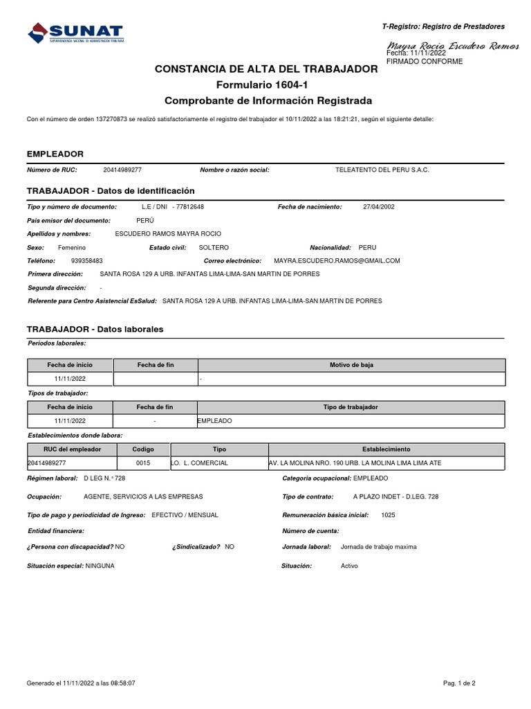 Constancia de Alta - Sunat | PDF