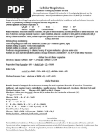 Updated Transes Template (Barebones) | PDF