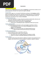 Updated Transes Template (Barebones) | PDF