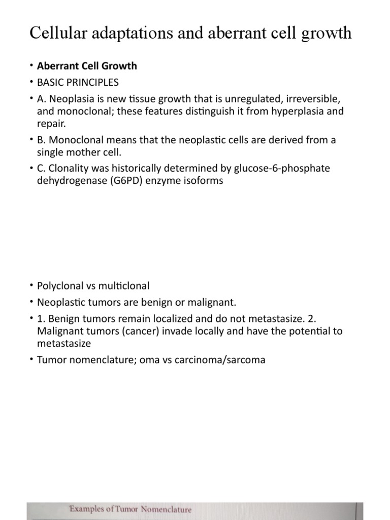 Cellular Adaptations and Aberrant Cell Growth | PDF | Science & Mathematics