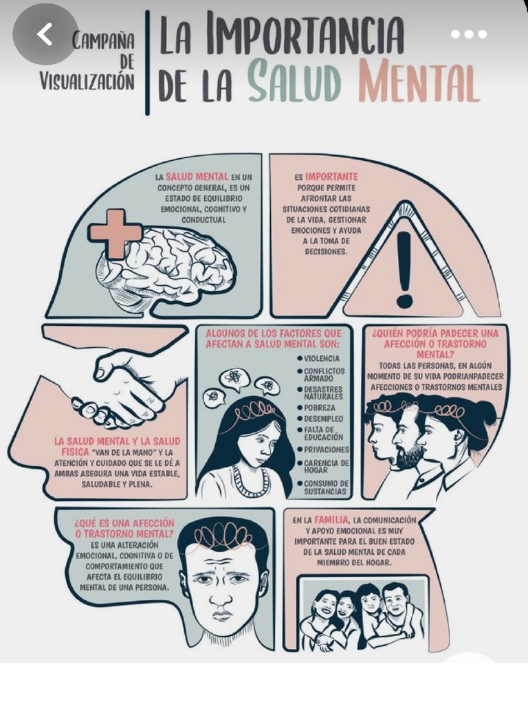 Importancia de La - Salud Mental | PDF