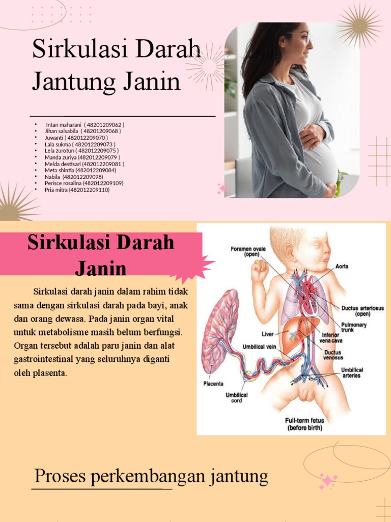 Sirkulasi Darah Jantung Janin 4 | PDF