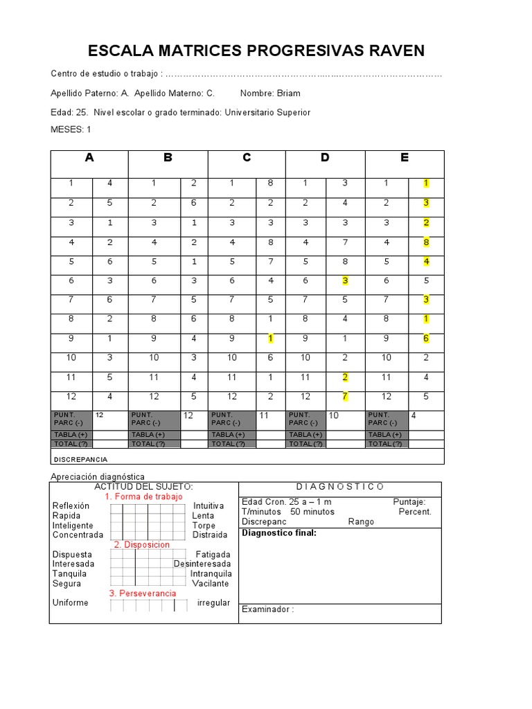 Protocolo Raven + Tablas | PDF