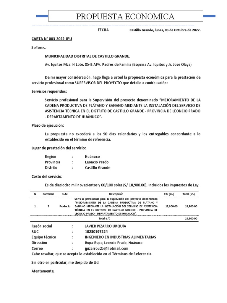 PROPUESTA ECONOMICA Javier Pizarro | PDF