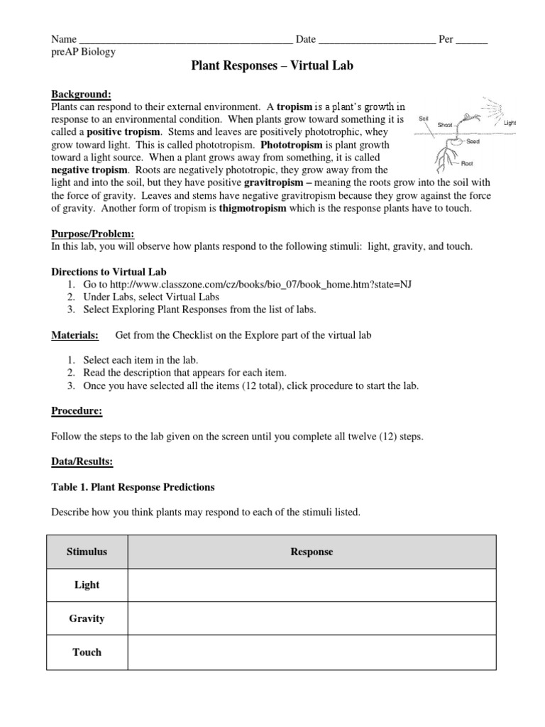Plant Responses Virtual Lab Guide | PDF | Science & Mathematics