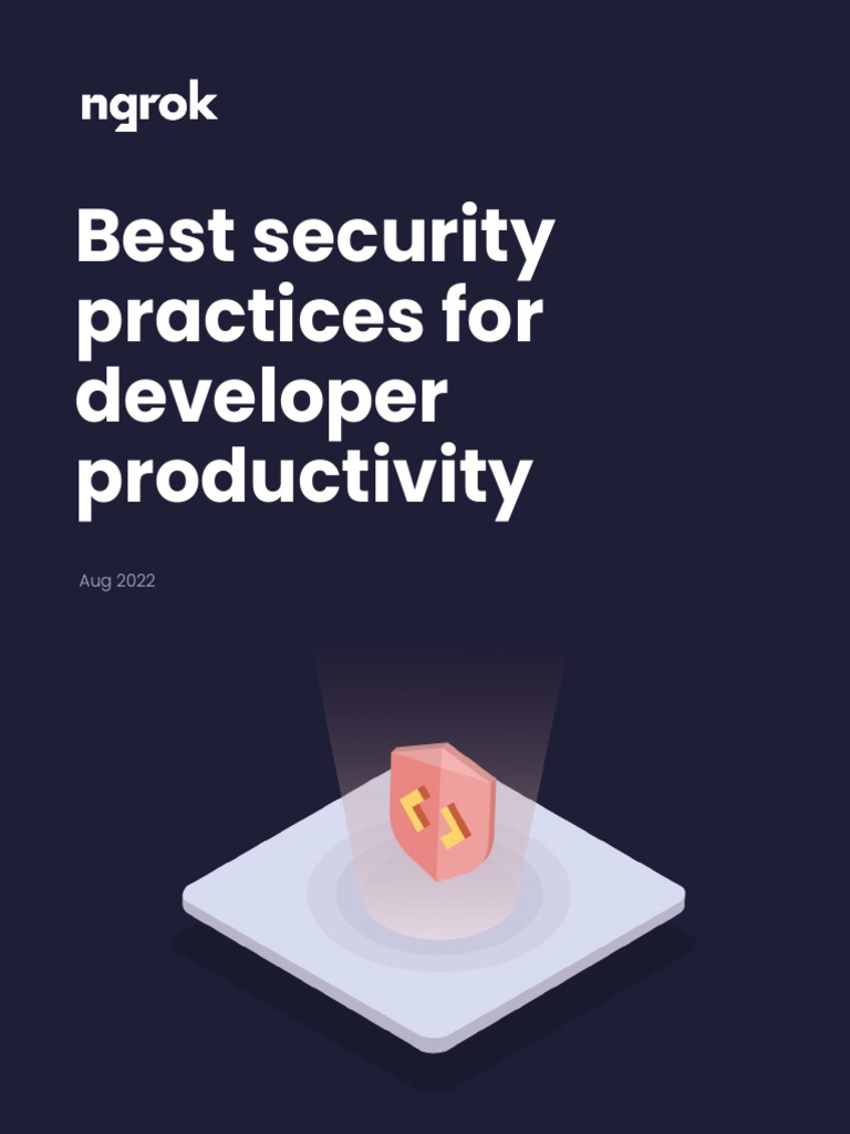 Ngrok Developer Productivity Security Best Practices | PDF