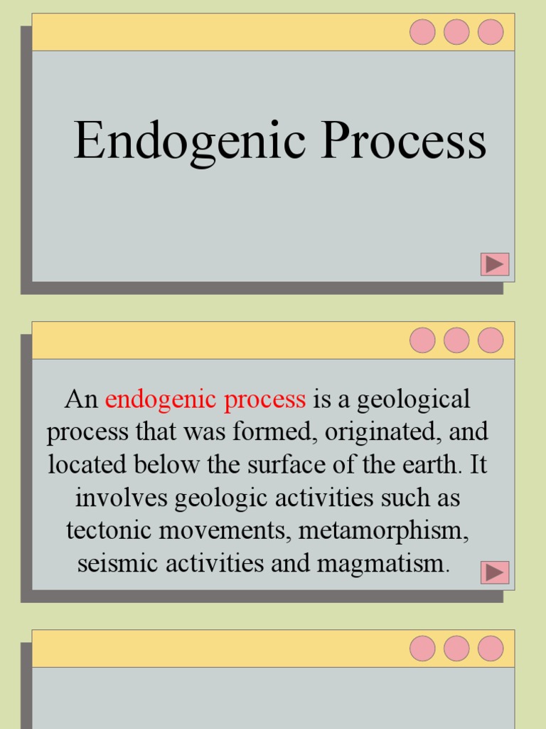 Endogenic Process | PDF