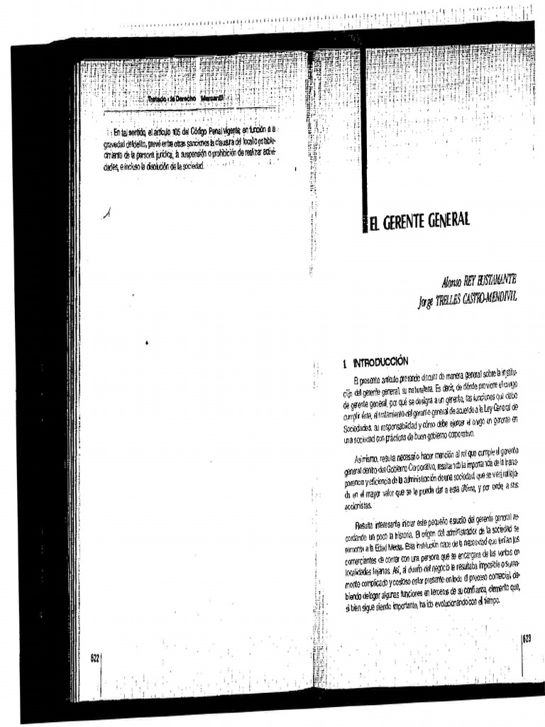 10 - Rey Afonso Jorge Trelles - El Gerente General | PDF