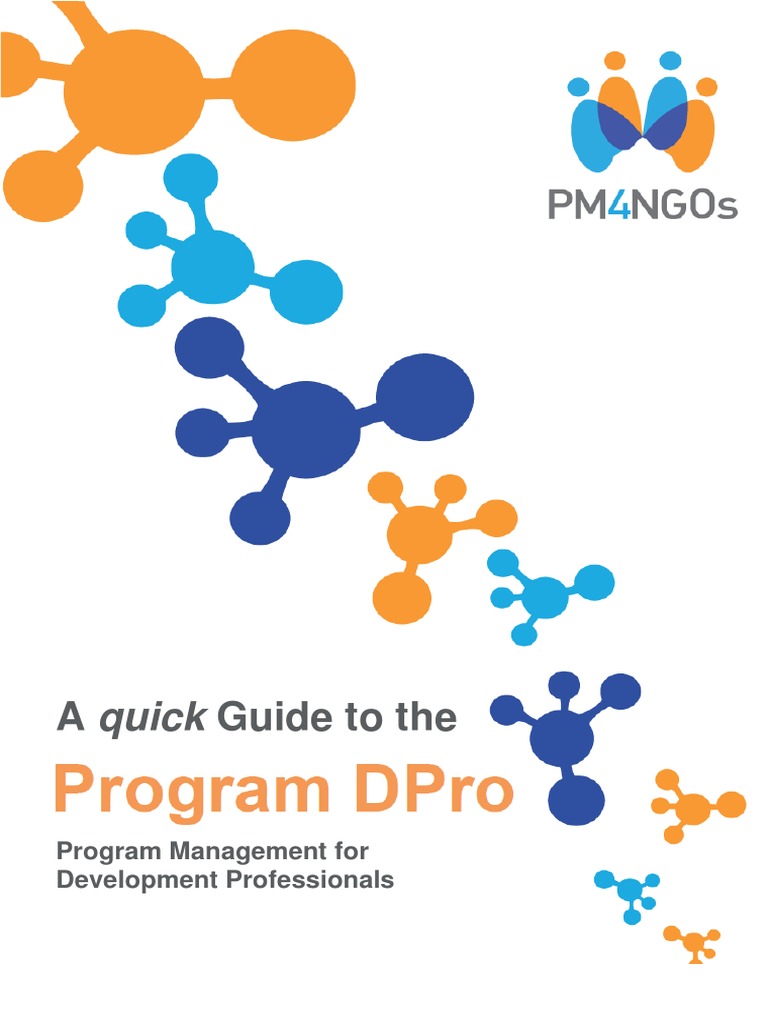 Quick Guide To The Program DPro | PDF | Strategic Management | Risk ...