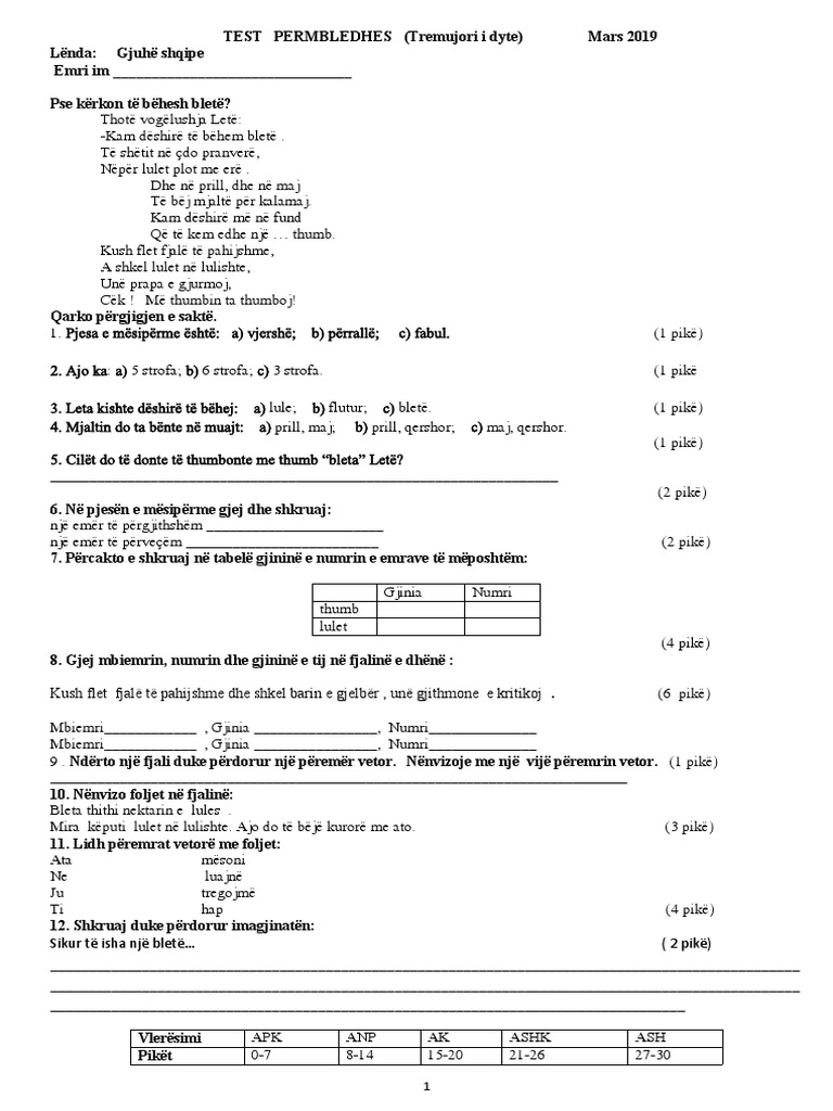 Test Permbledhes Gjuhe Shqipe 2 Mars 201 | PDF