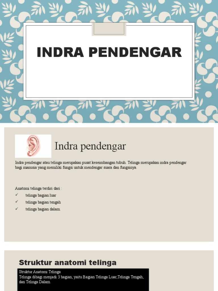 Indra Pendengaran (Telinga) | PDF