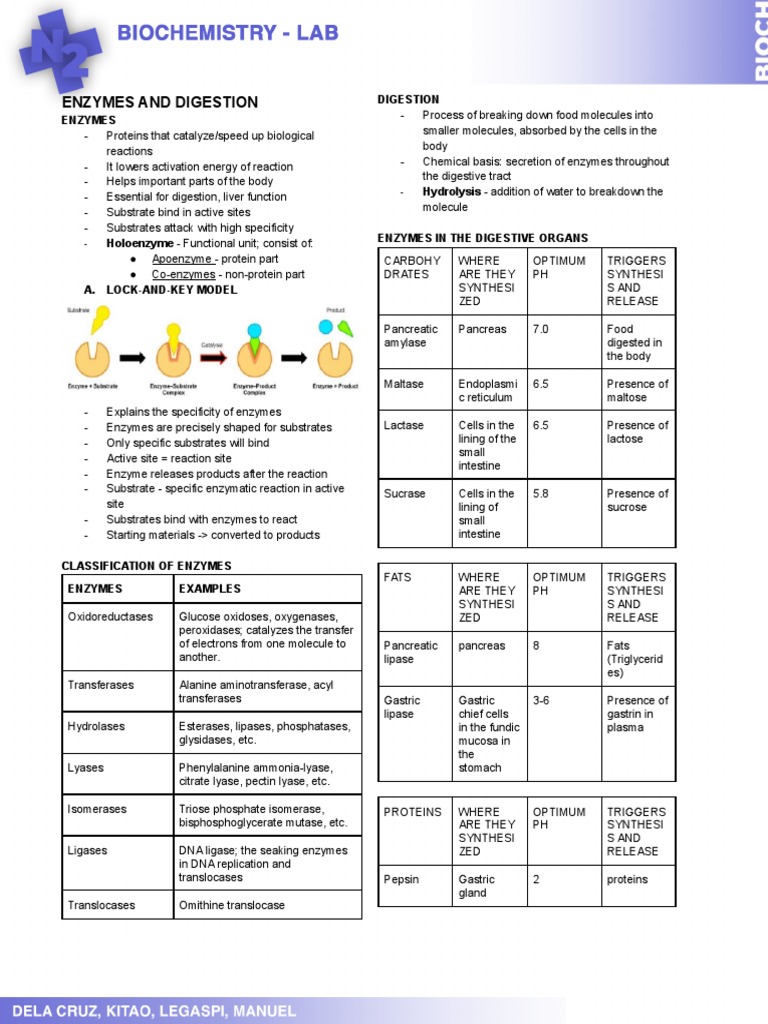 Biochem Lab Finals Transcript | PDF
