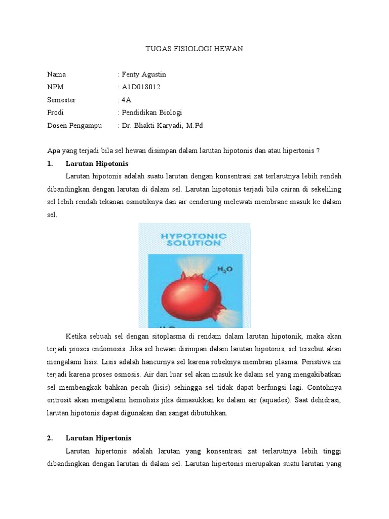 Fisiologi Sel Hewan dalam Larutan Hipotonis dan Hipertonis | PDF