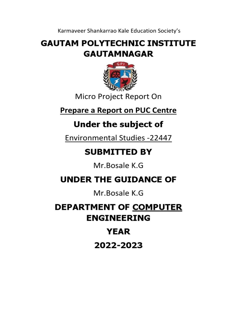 Est Project Pdf
