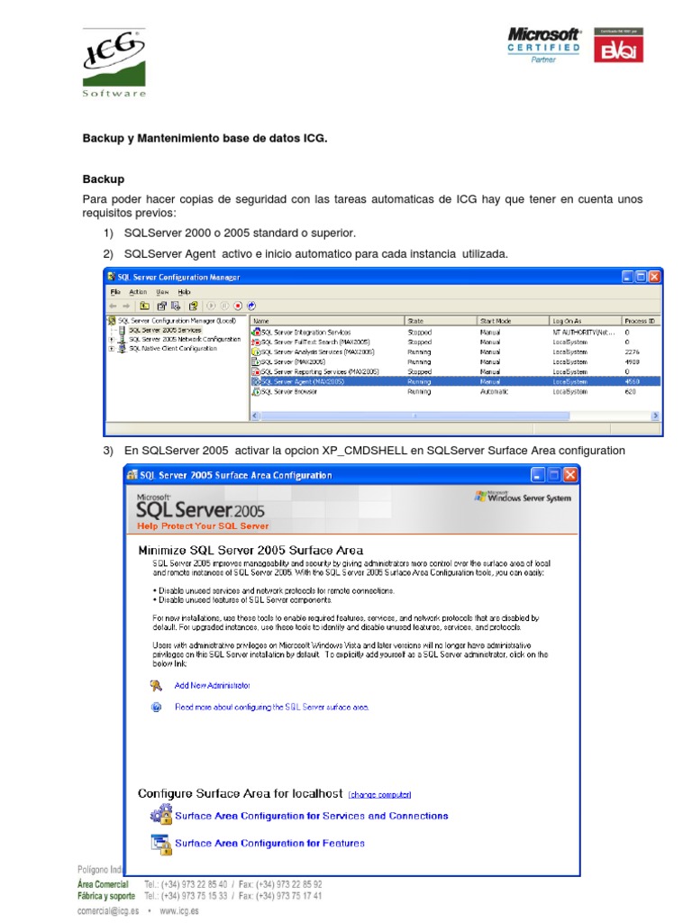 Guía de Backup y Mantenimiento ICG | PDF | Servidor SQL de Microsoft | Apoyo