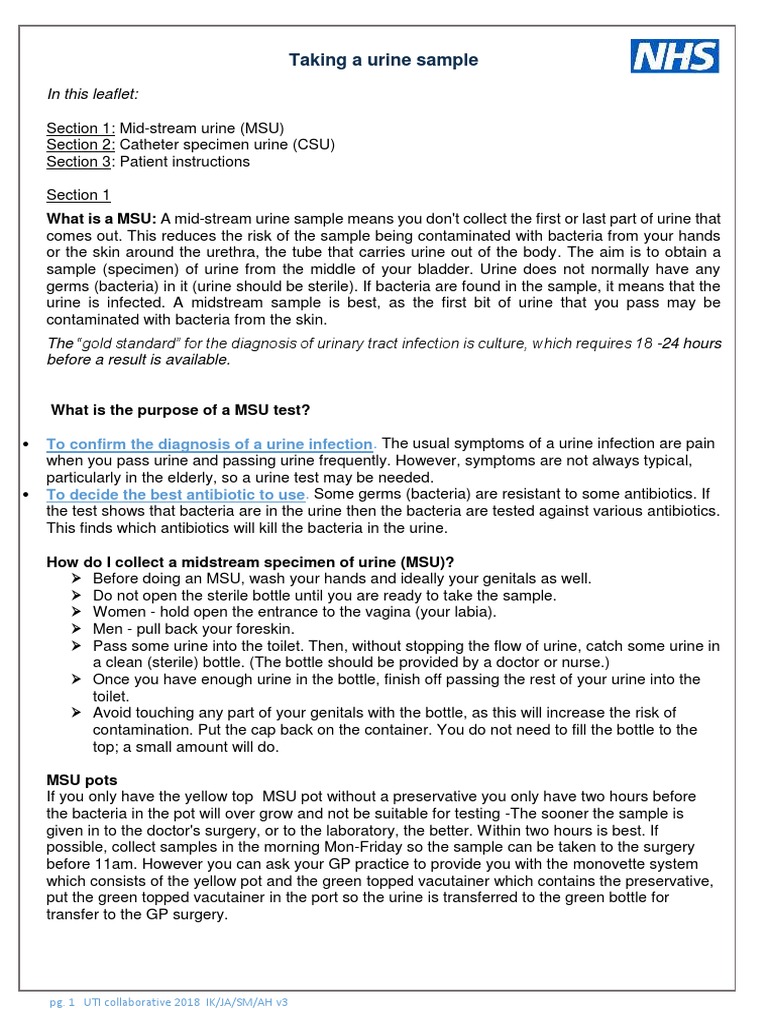 Taking A Urine Sample | PDF | Urinary Tract Infection | Medical Specialties