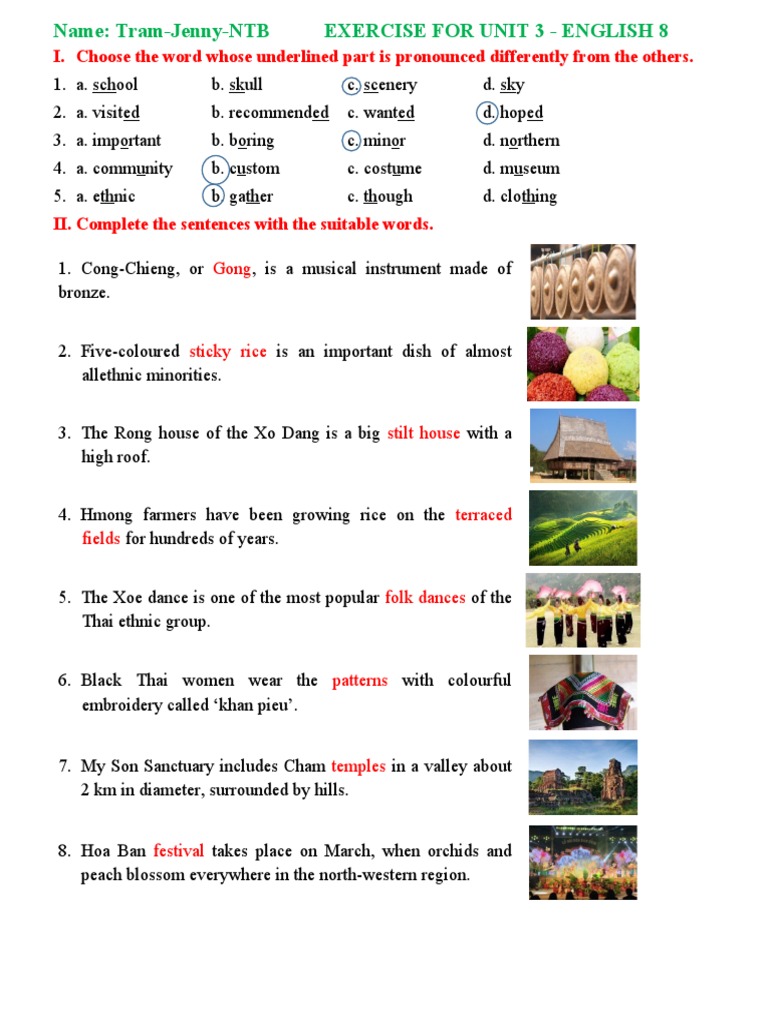 Exercise Unit 3 - English 8 | PDF | Vietnam | Ethnicity