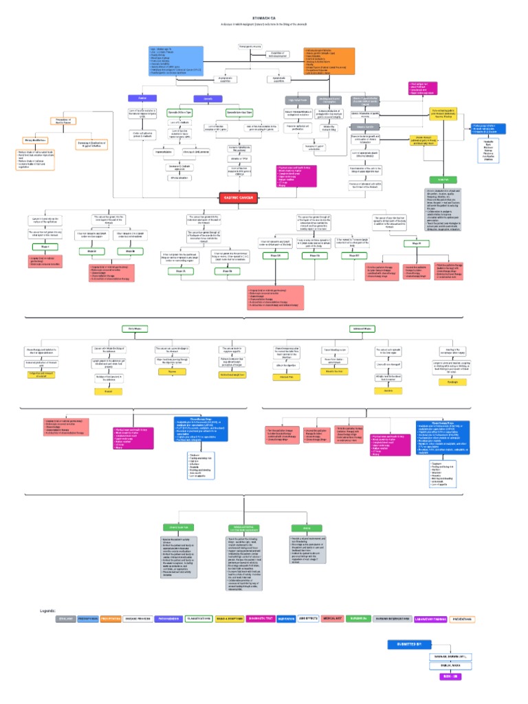 Stomach Cancer Concept Map | PDF | Cancer | Epidemiology
