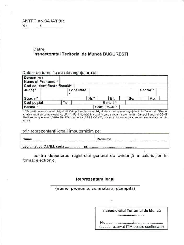 Formular Depunere REVISAL | PDF