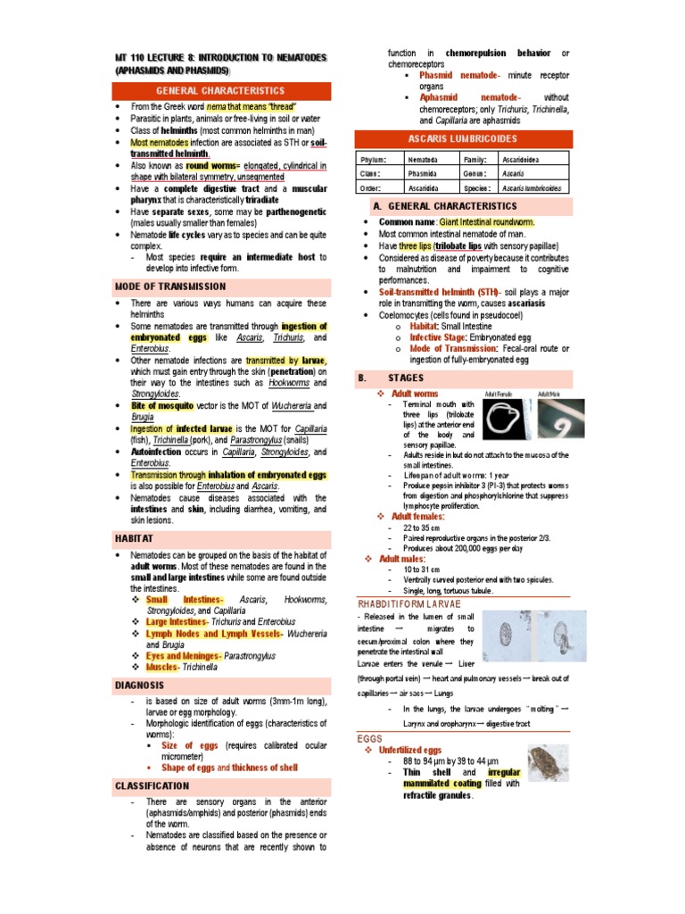 7 - Nematodes (Aphasmids and Phasmids) | PDF | Nematode | Gastroenterology
