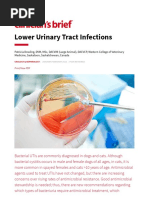 ISCAID Guidelines For The Diagnosis and Management of Bacterial Urinary ...