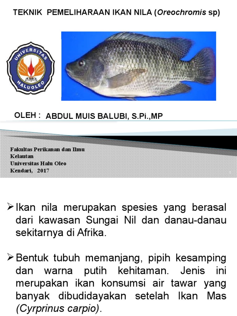 Akuakultur Ikan Nila | PDF