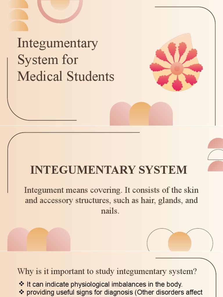 The Integumentary System: An Essential Overview for Medical Students ...