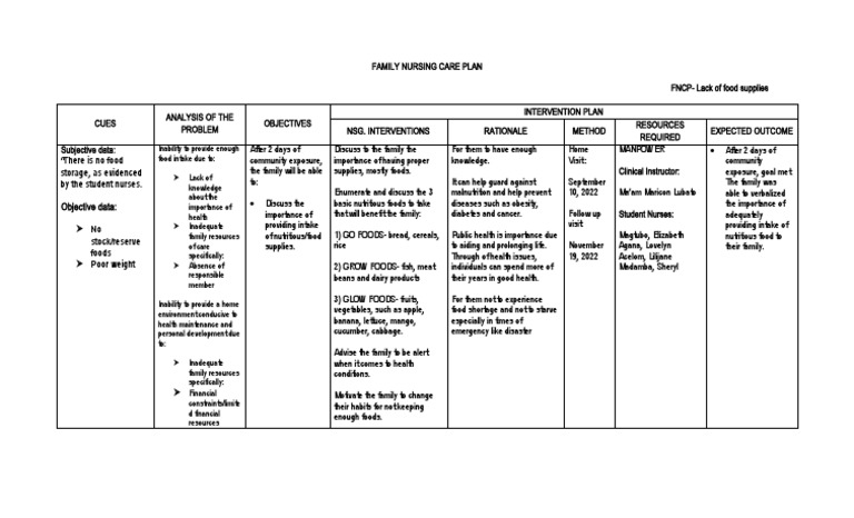 Family Nutrition Care Plan Overview | PDF | Foods | Food Security