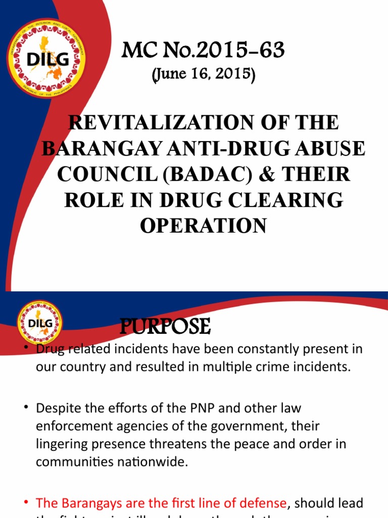 Badac Presentation | PDF