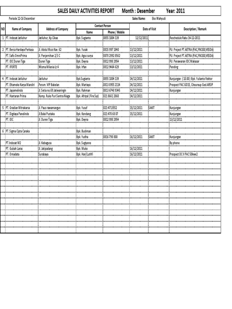 Daily Report Sales | PDF