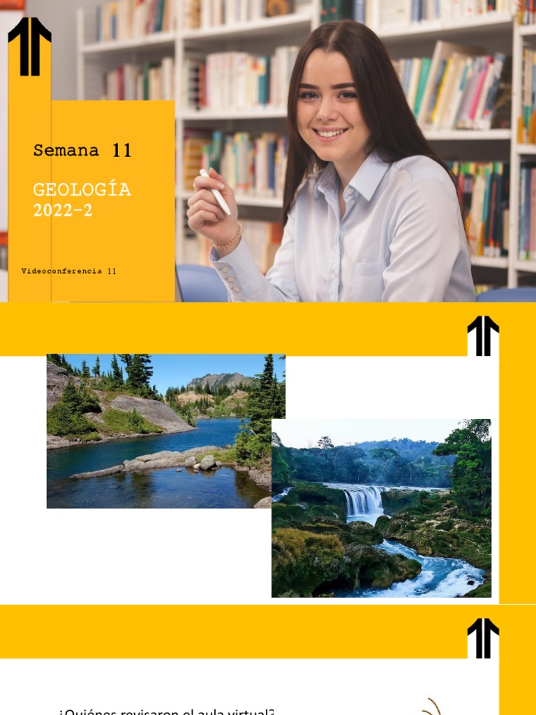 Diapositivas VC 11 | PDF