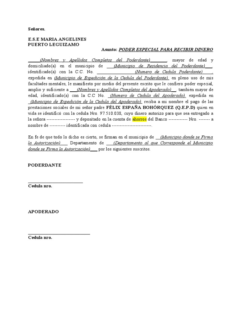 Modelo Poder Especial para Pagos y Cuenta | PDF