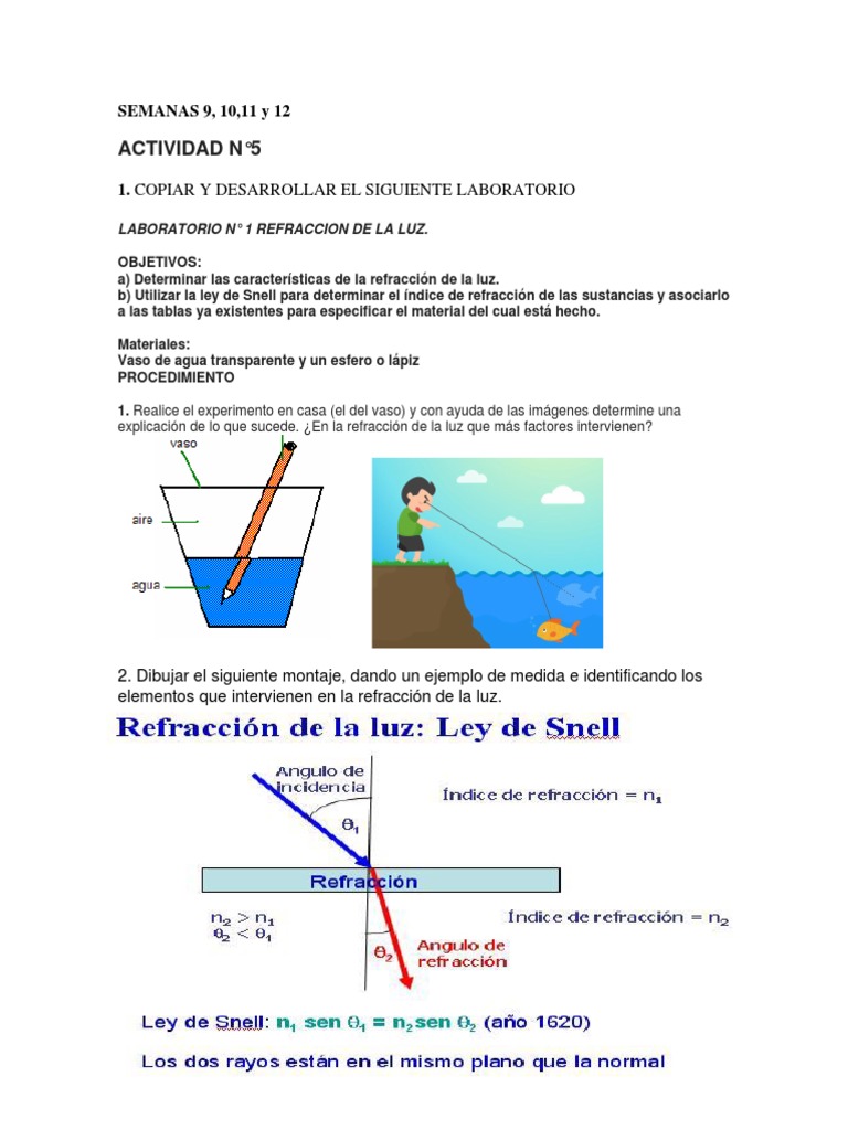 Guia #3 Refraccion de La Luz | PDF | Ojo humano | Ligero